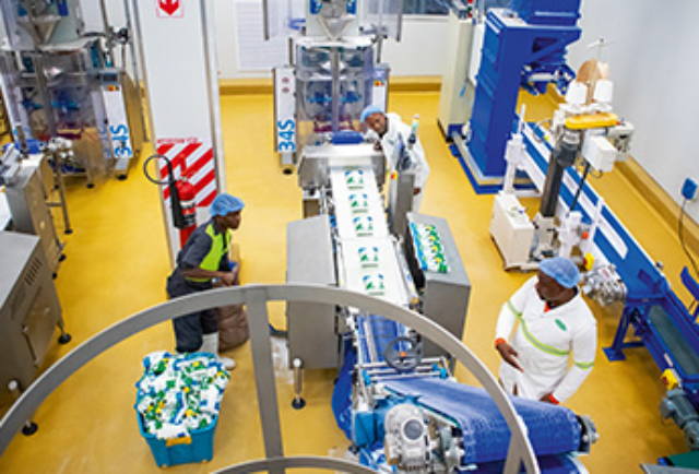 Investment in packing facilities to drive growth in domestic brands - ABF