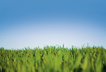 Feeding best practice in farming - ABF